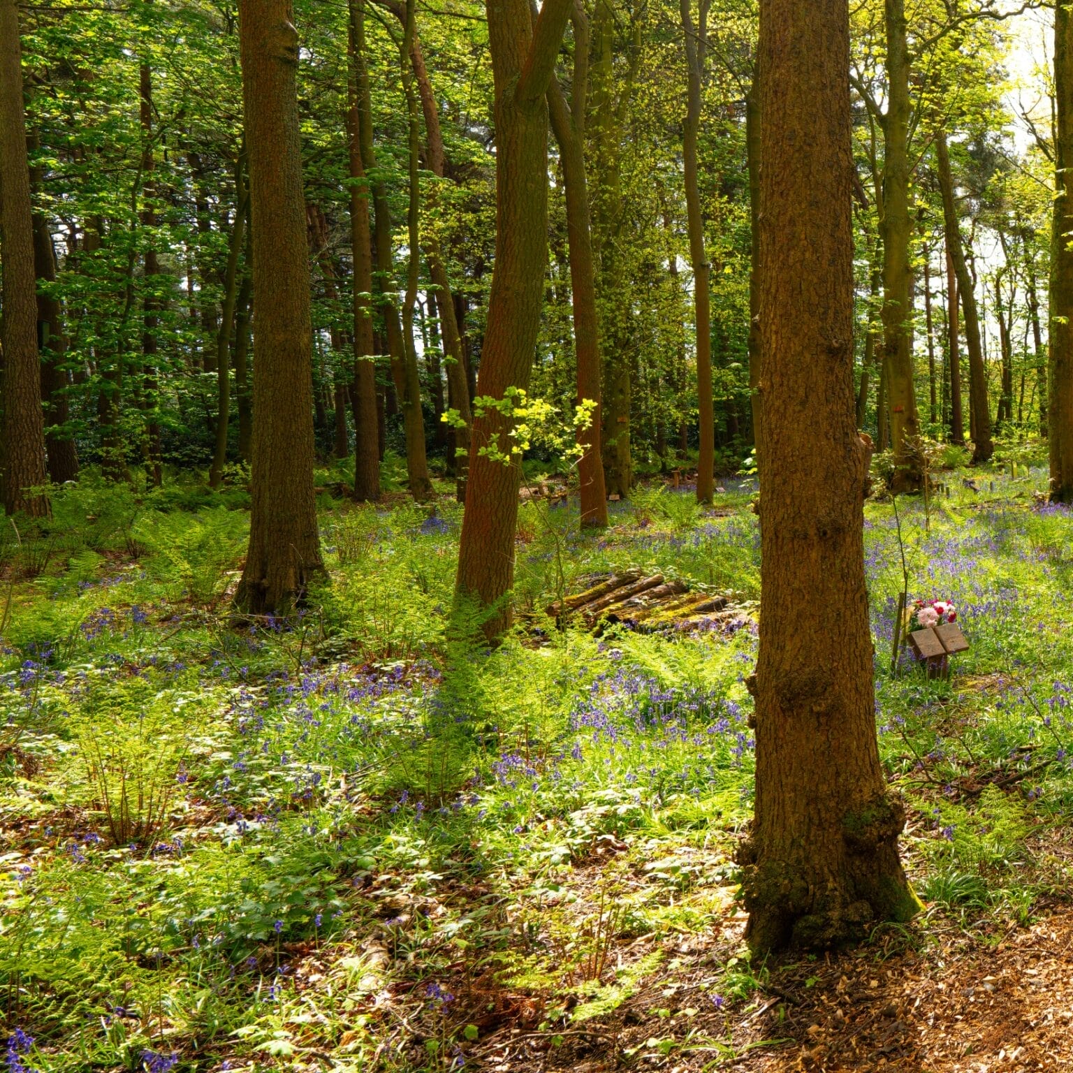 Chiltern Park - GreenAcres Group