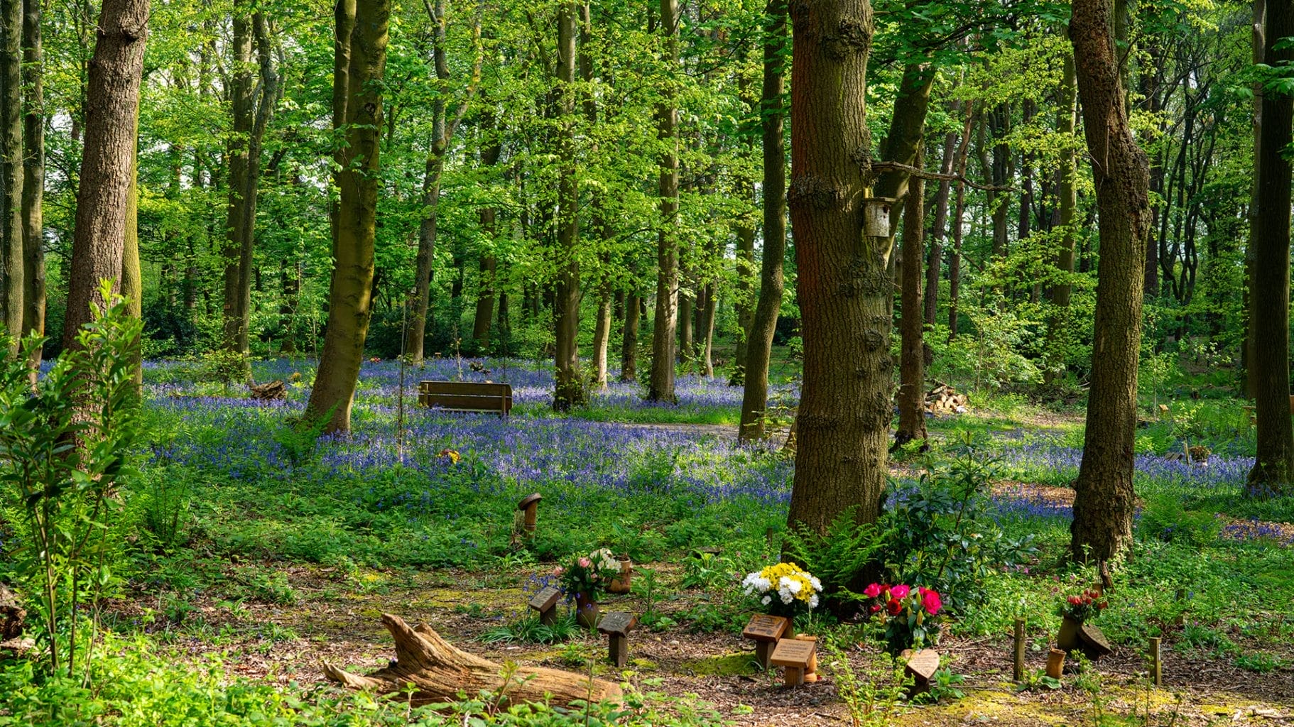 Living Memorial Parks - GreenAcres Group