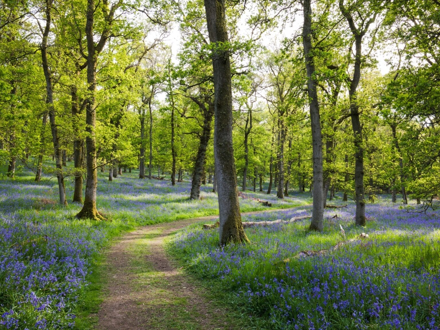 Colney Park - GreenAcres Group